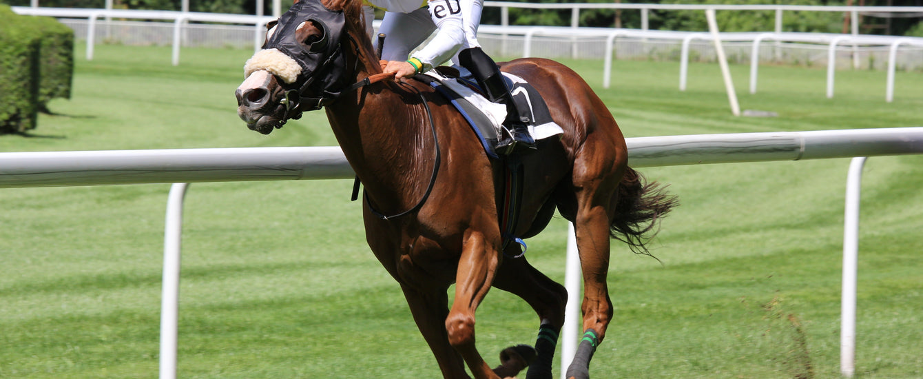 What to Wear to the Melbourne Spring Racing Carnival: A Style Guide fo ...